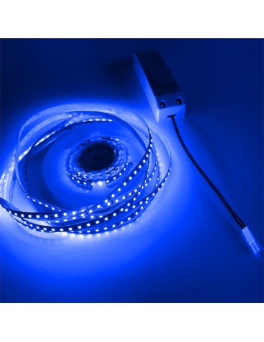 Ruban LED Bleu d'intérieur | Fabriquant LED depuis 20 ans